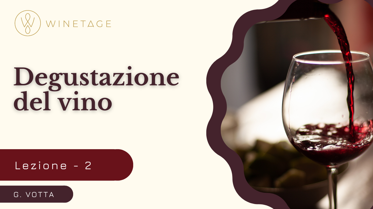 Lezione 2: Degustazione del vino ⋆ Wine Social