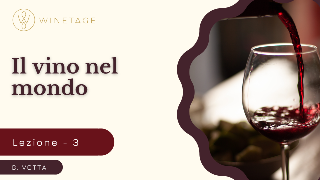 Lesson 3: The world of wine ⋆ Wine Social